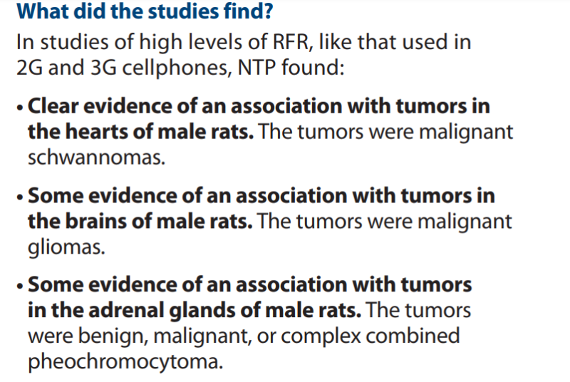 RF Safe - Cell Phone Radiation Safety * RF SAFE® Radio Frequency Safe