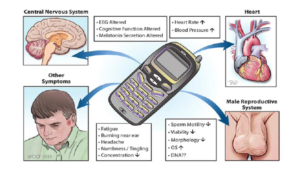 RF Safe - Cell Phone Radiation Safety * RF SAFE® Radio Frequency Safe