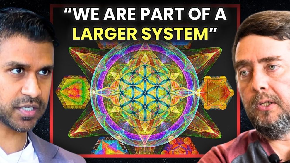 Universal Mind, Synchronicity, and the Nature of Consciousness: Insights from Michael Levin and ...